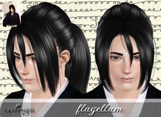 Wrapped ponytail with dimensional bangs by Wings - Sims 3 Hairs