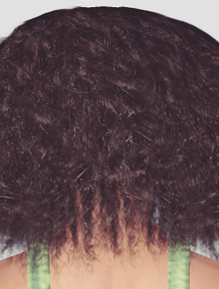 Afro hairstyle 01 by Momo - Sims 3 Hairs